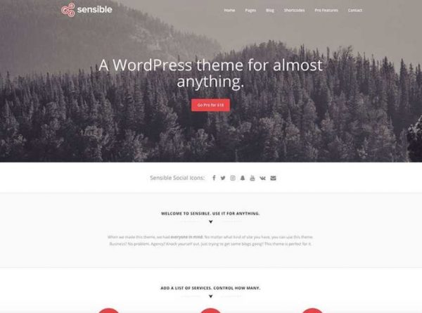 40+ Best Free WordPress Themes and Fully Responsive