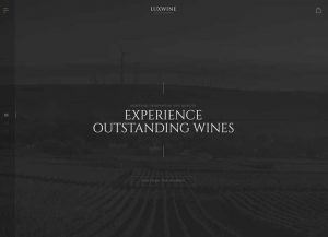 12+ Best WordPress Themes for Wineries, Craft Beer, Vineyards 2020