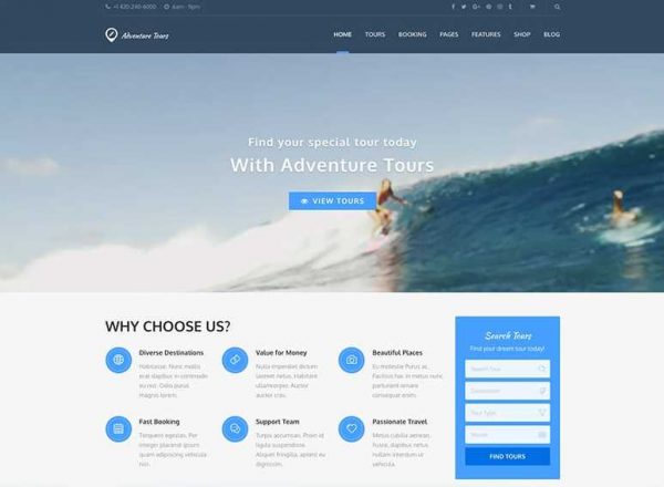 20+ Best WordPress Themes for Travel Agencies, Tour Operators and Tours ...