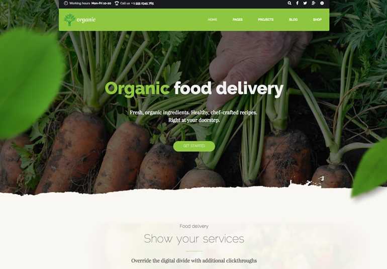15+ Best Organic Food, Farms, Organic Shop WordPress Themes 2020