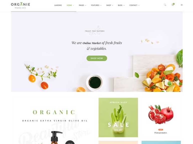 15+ Best Organic Food, Farms, Organic Shop WordPress Themes 2020