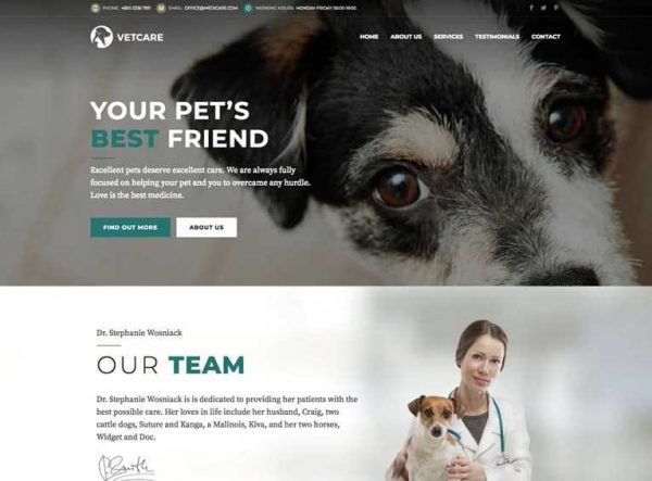 15+ Best Pet Care WordPress Themes for Animals, Pet Stores, Pet Care 2020